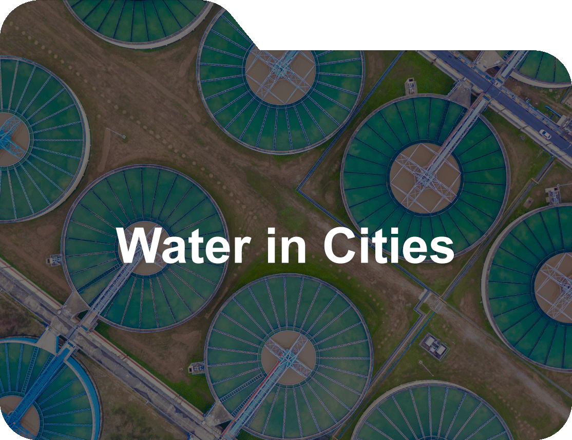 Water in Cities - On-Demand Webinars - DHI